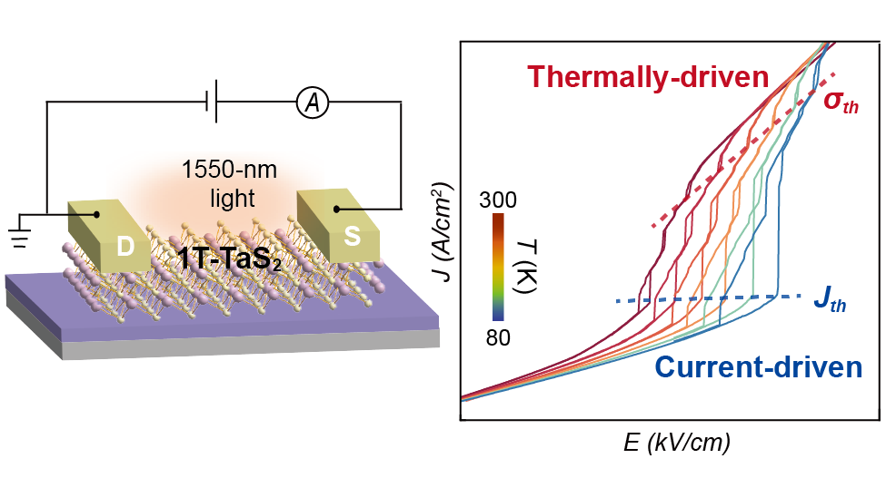 黄海课题组：揭示1T-TaS2电荷密度波相变机制，为新型红外探测器提供思路